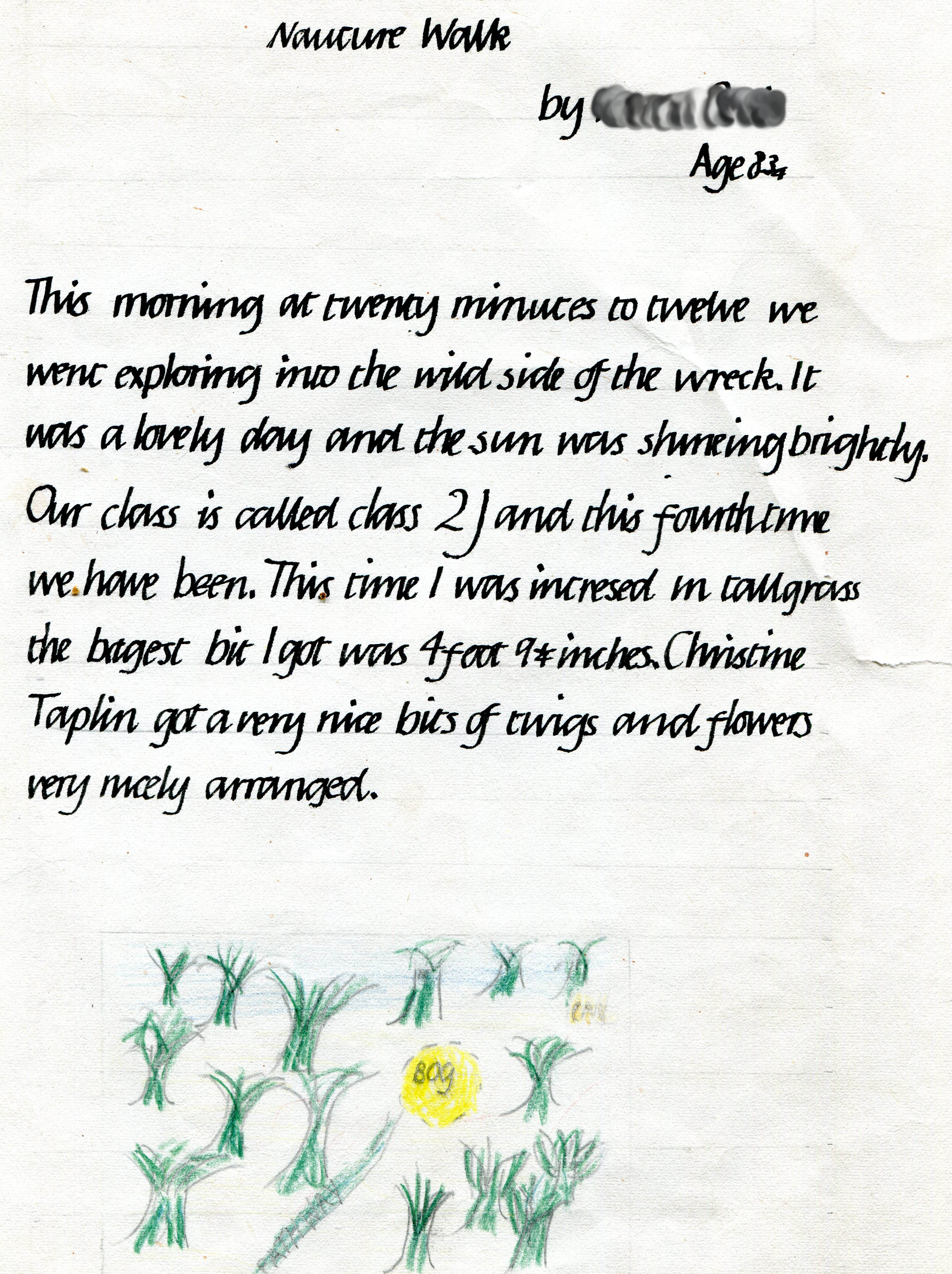 Christopher Jarman Papers And Art Work - NAPE